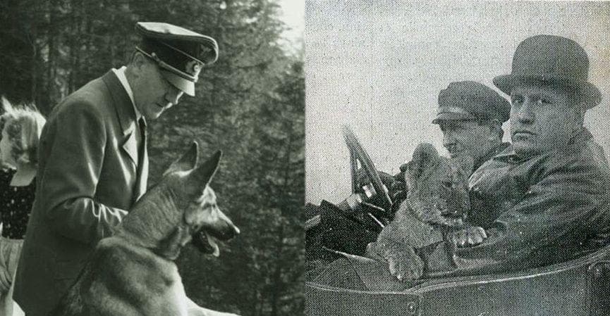 10 Pets Of Dictators You Had No Idea About