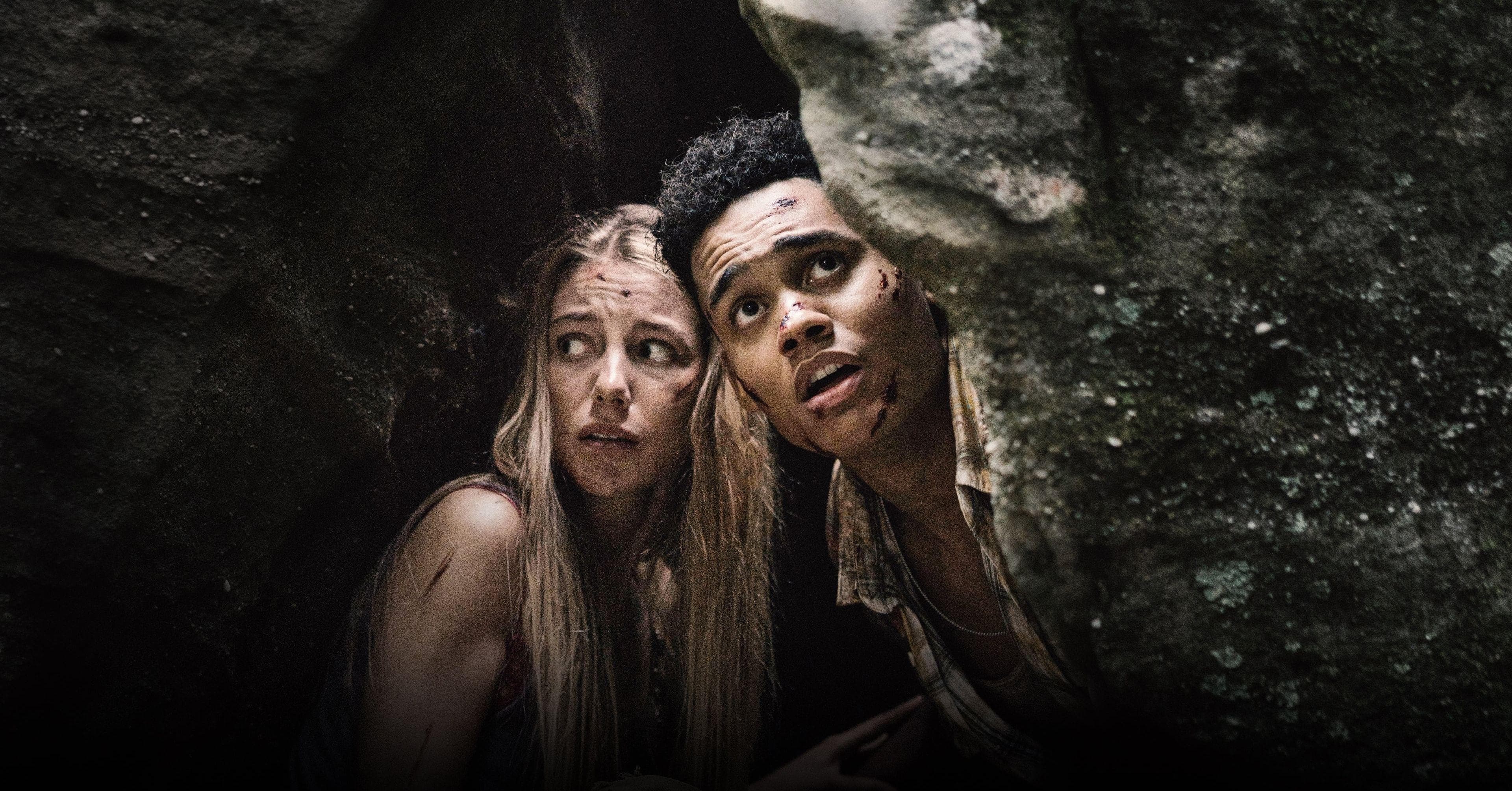 25+ Best Shows & Movies Like 'Wrong Turn'