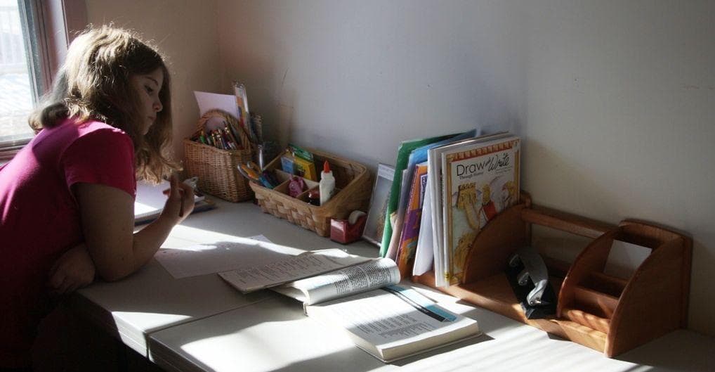 Why Homeschooling Is Bad: Students Share The Problems It Caused