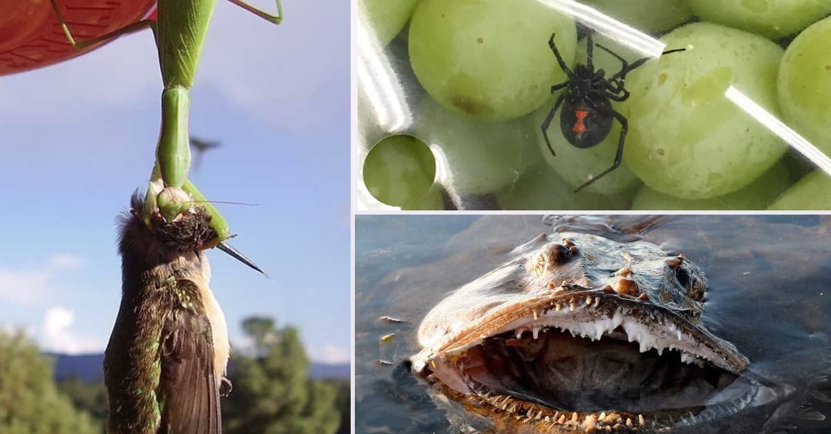 44 Photos That Made Us Say, 'Damn Nature, You Scary'