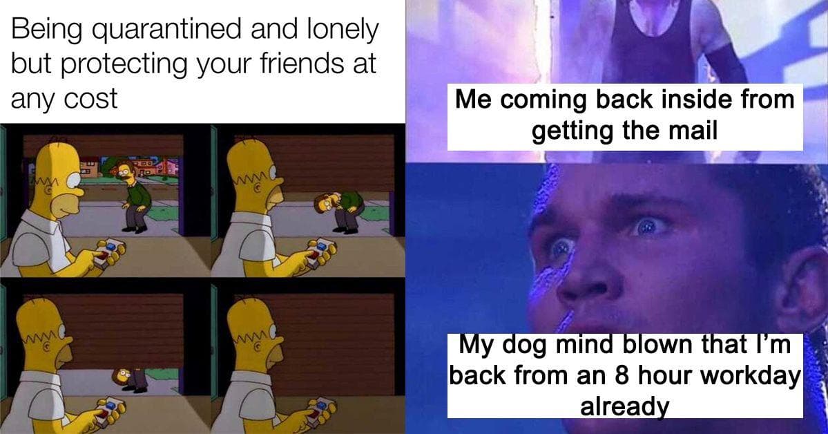 22 Hilarious Memes About Staying Home That Are Actually Kinda Uplifting