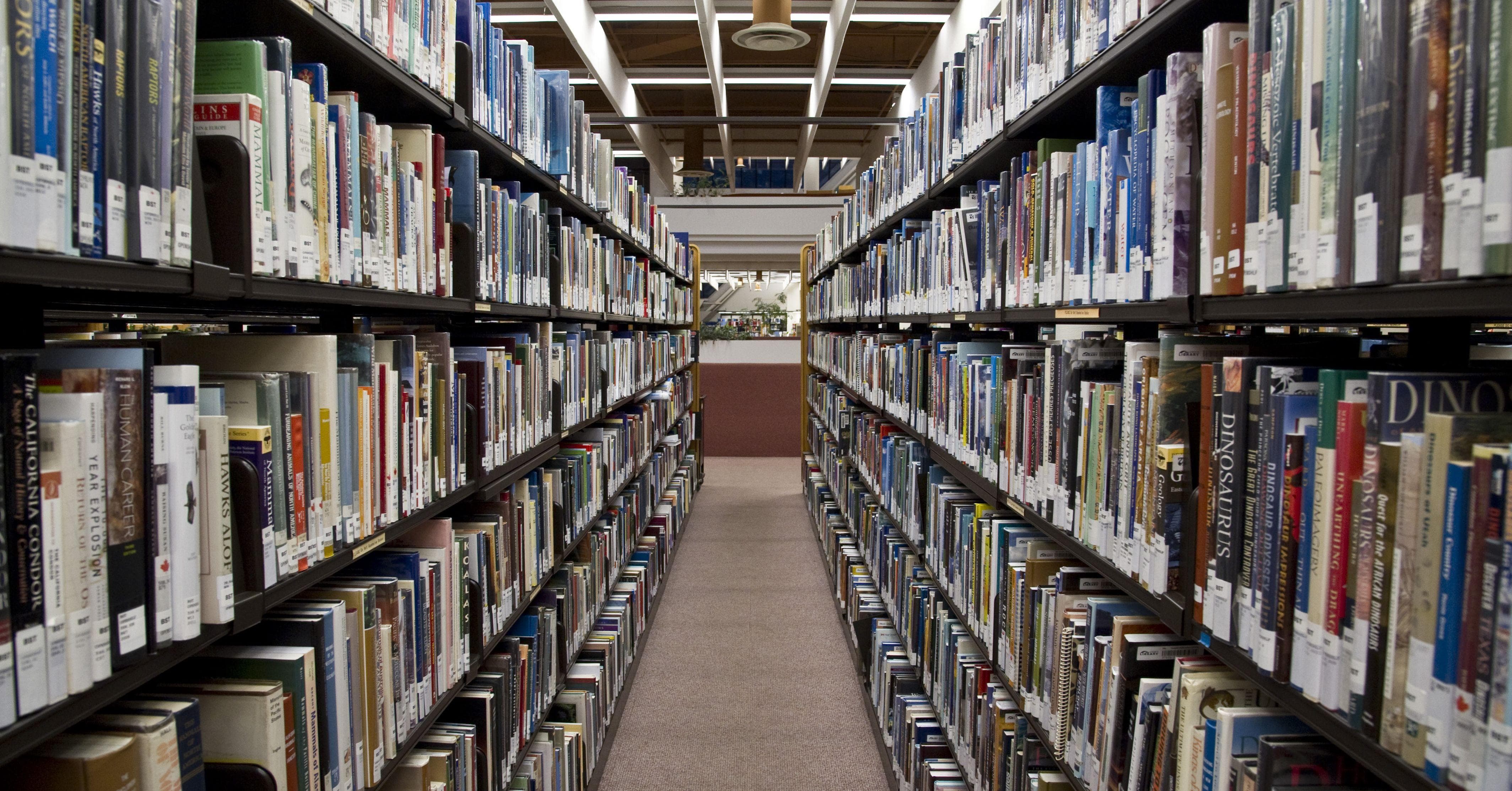Librarians Of The Internet Are Sharing Their Weirdest Stories From ...
