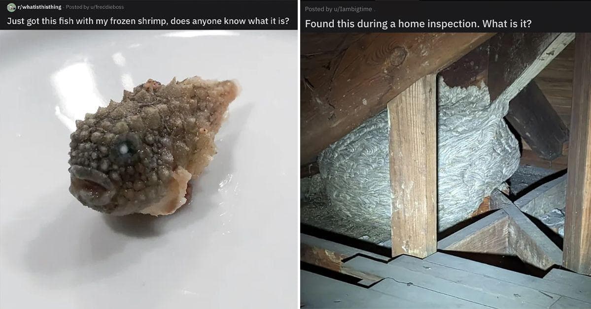 People Asked For Help Identifying The Weird Objects They Found, And The ...