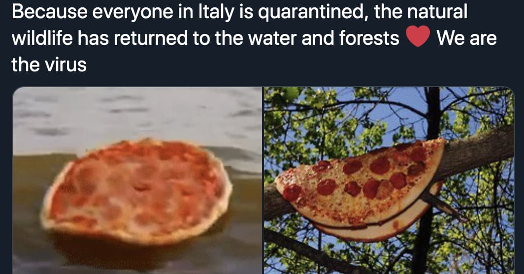 People Are Making Fun Of Those 'Nature Is Healing Itself' Photos And ...