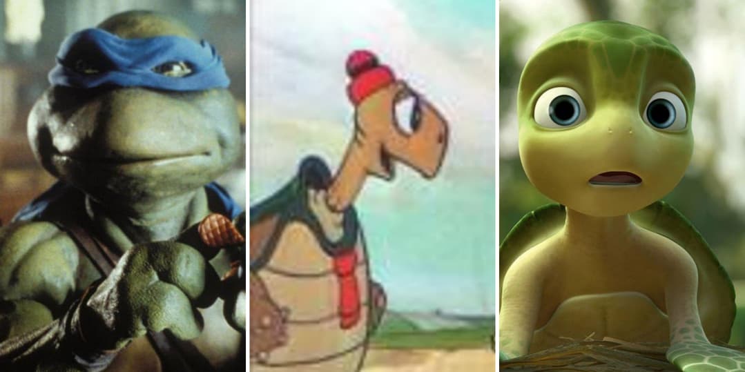 The 21 Best Turtles And Tortoises Movies, Ranked By Fans