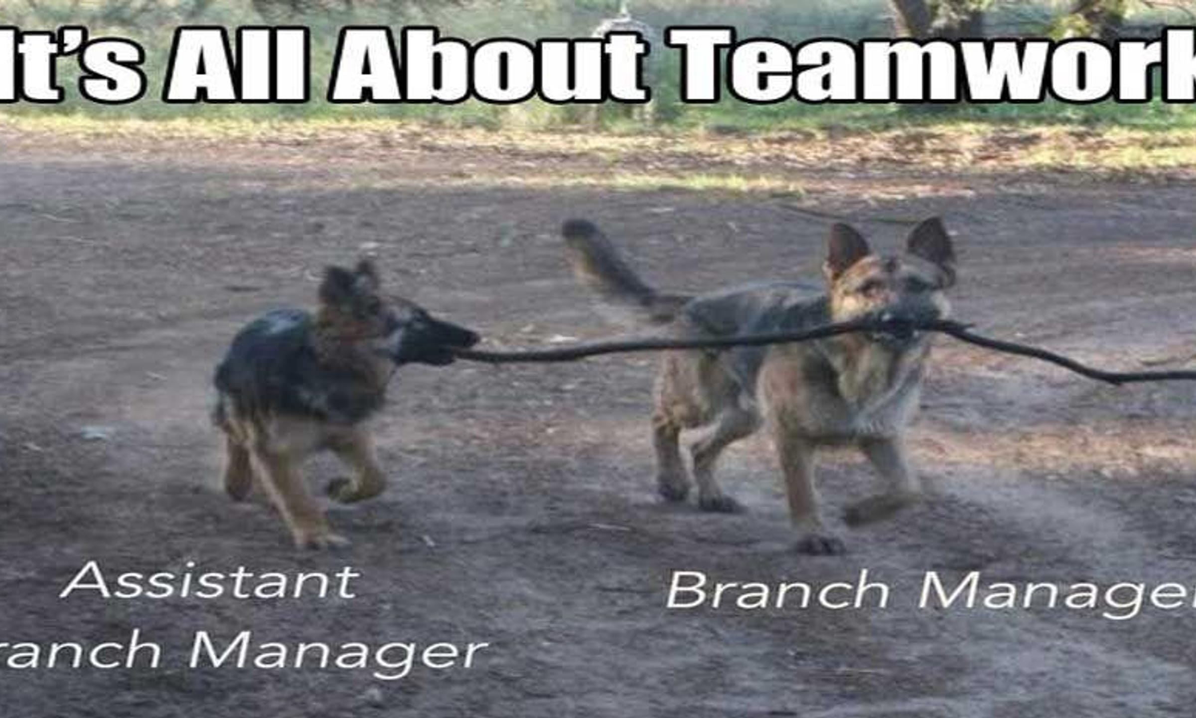 Teamwork Meme Clearance Discounts | www.micoope.com.gt Teamwork Meme Clearance Discounts | www.micoope.com.gt