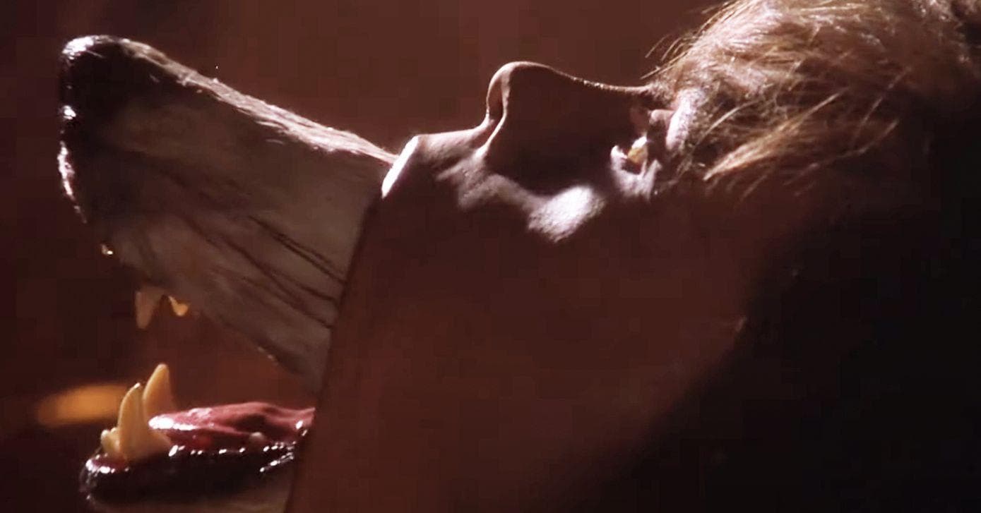 Gnarly Transformation Scenes