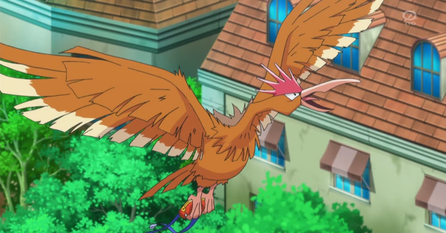 20 Interesting Things You Probably Didn't Know About Bird Pokemon