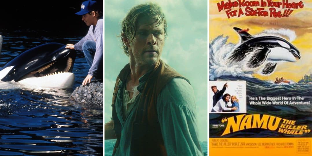 The 20 Best Movies With Whales, Ranked By Fans