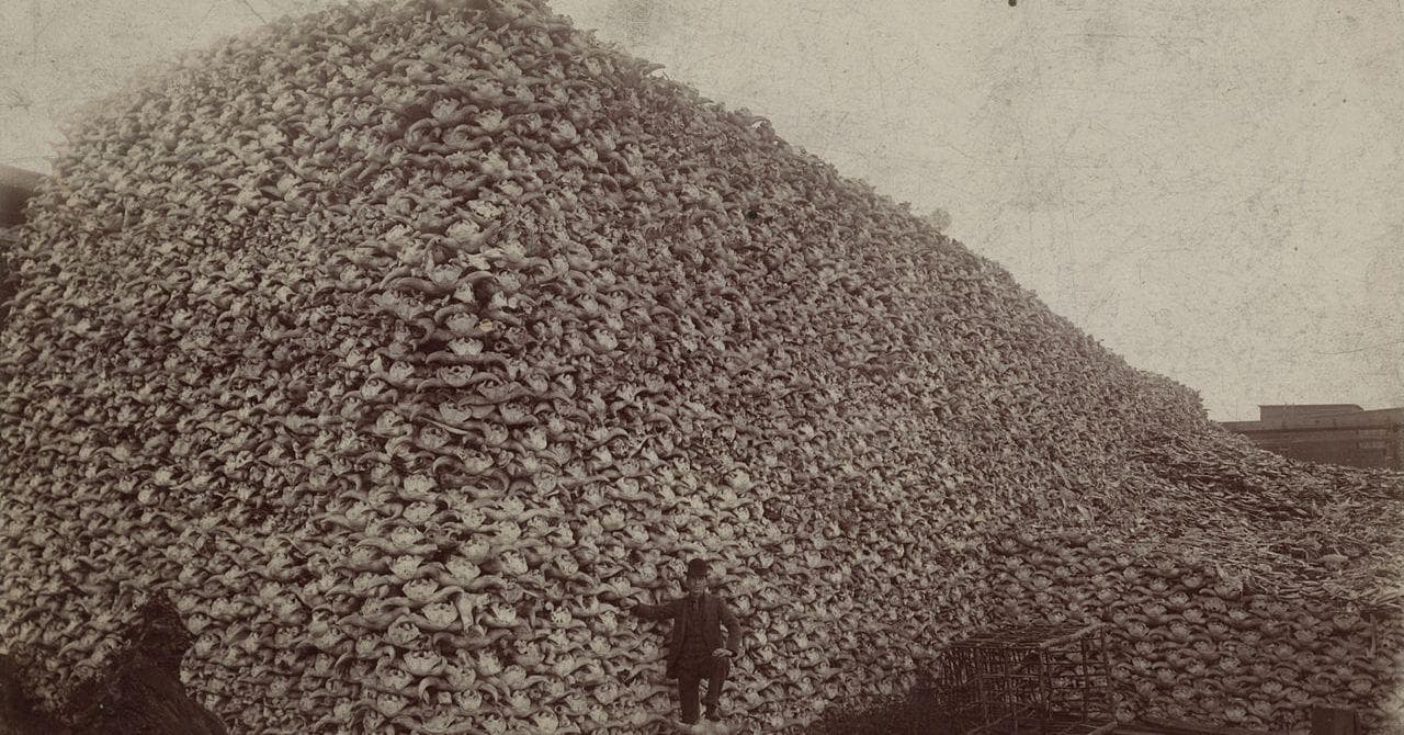 What We Learned About 12 Compelling Historical Images In 2023