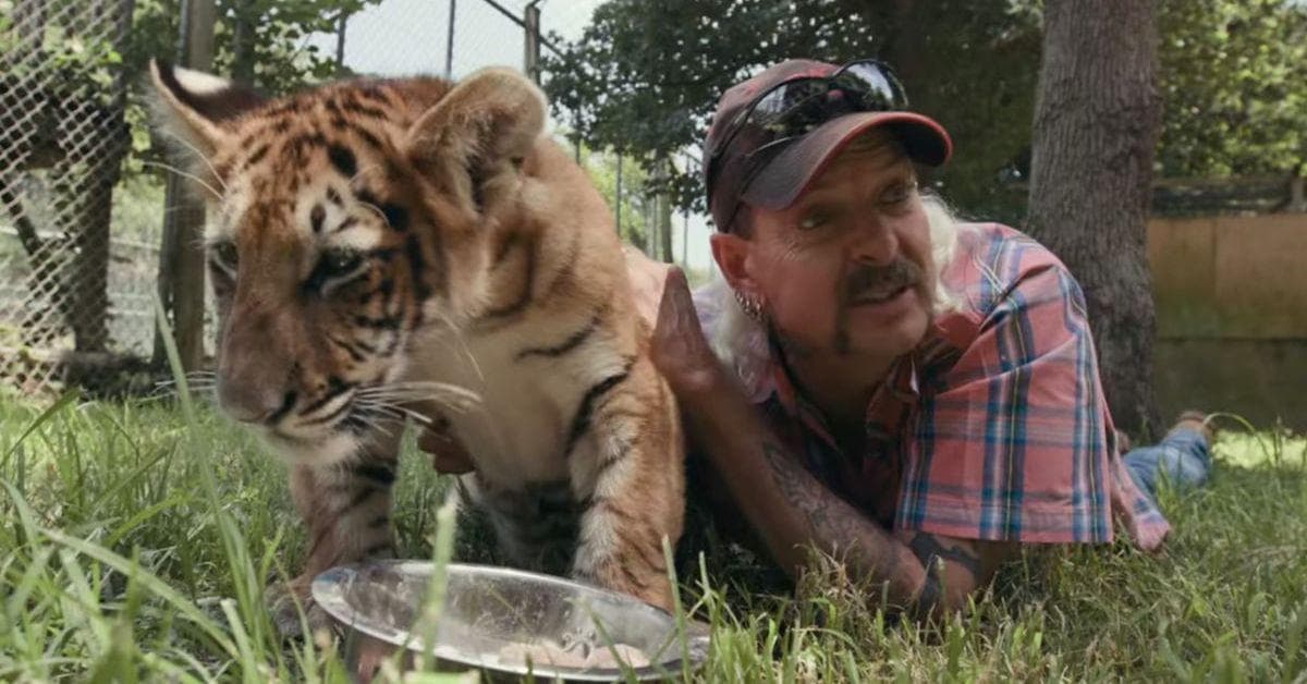 Top WTF Moments From Netflix's 'Tiger King: Murder, Mayhem and Madness'