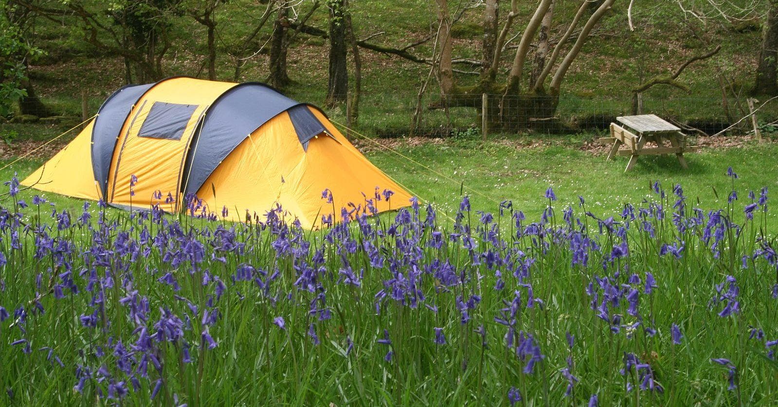 Ranker Readers Are Revealing Their Worst Camping Experience