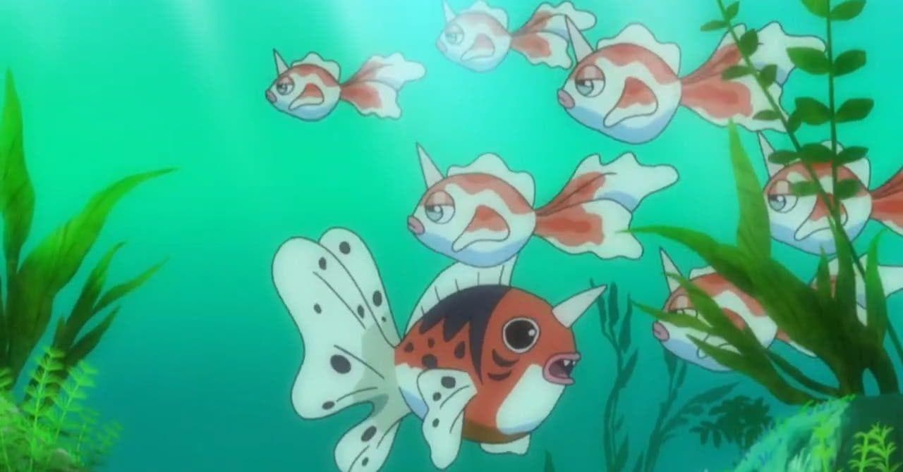 What Is The Fish Pokemon What Mantine Swims With Shop ...