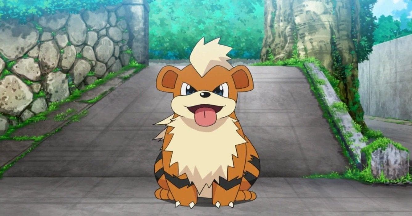 20 Things You Probably Didn't Know About Dog Pokemon