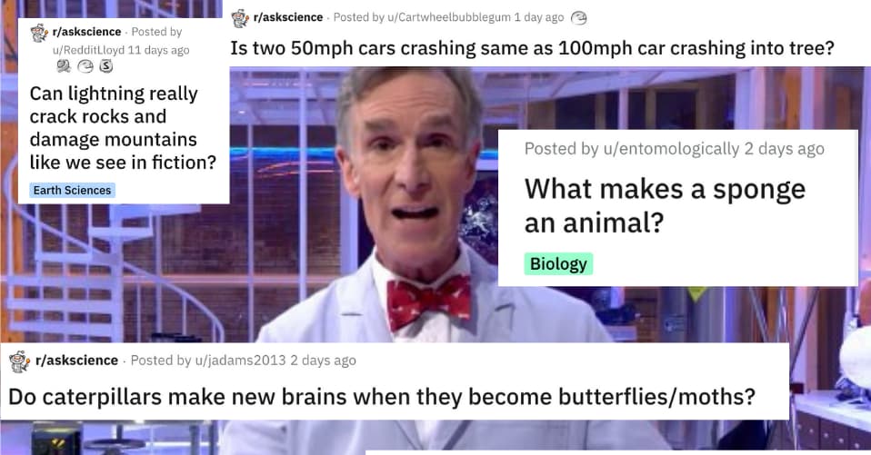 Scientists Are Answering Regular People’s Tough Questions, And The ...