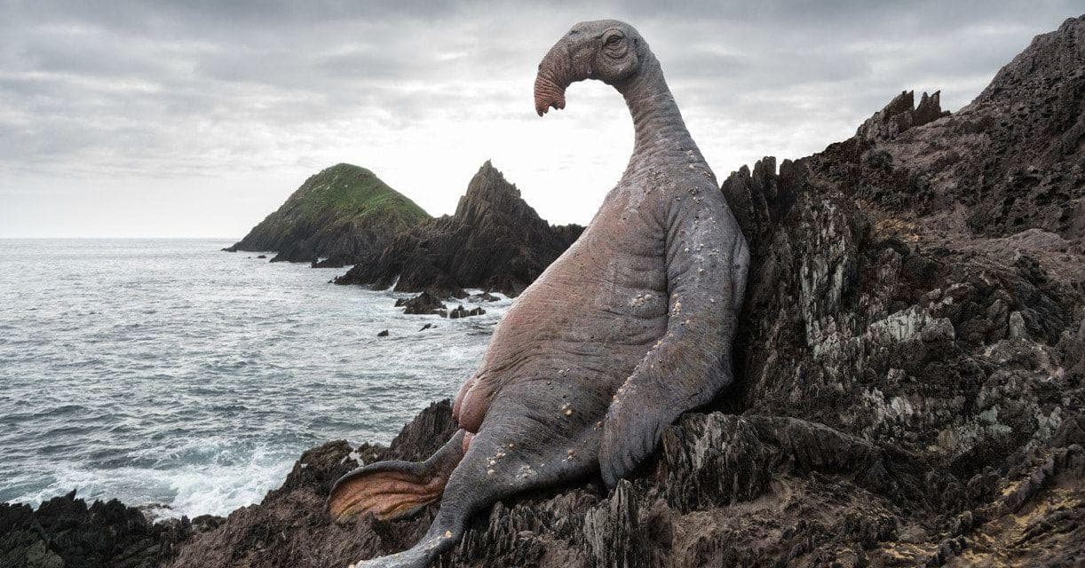 Things You Didn't Know About 'Star Wars' Creatures