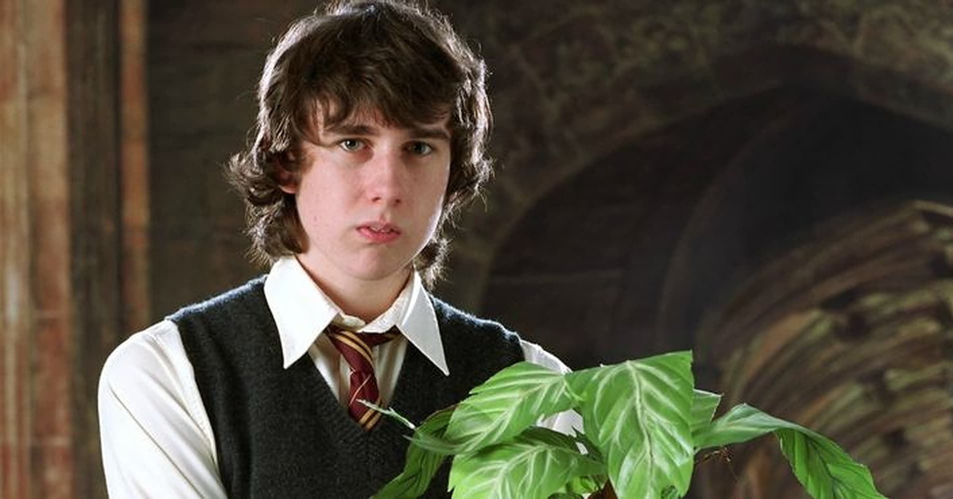 Things You Didn't Know About The Longbottom Family