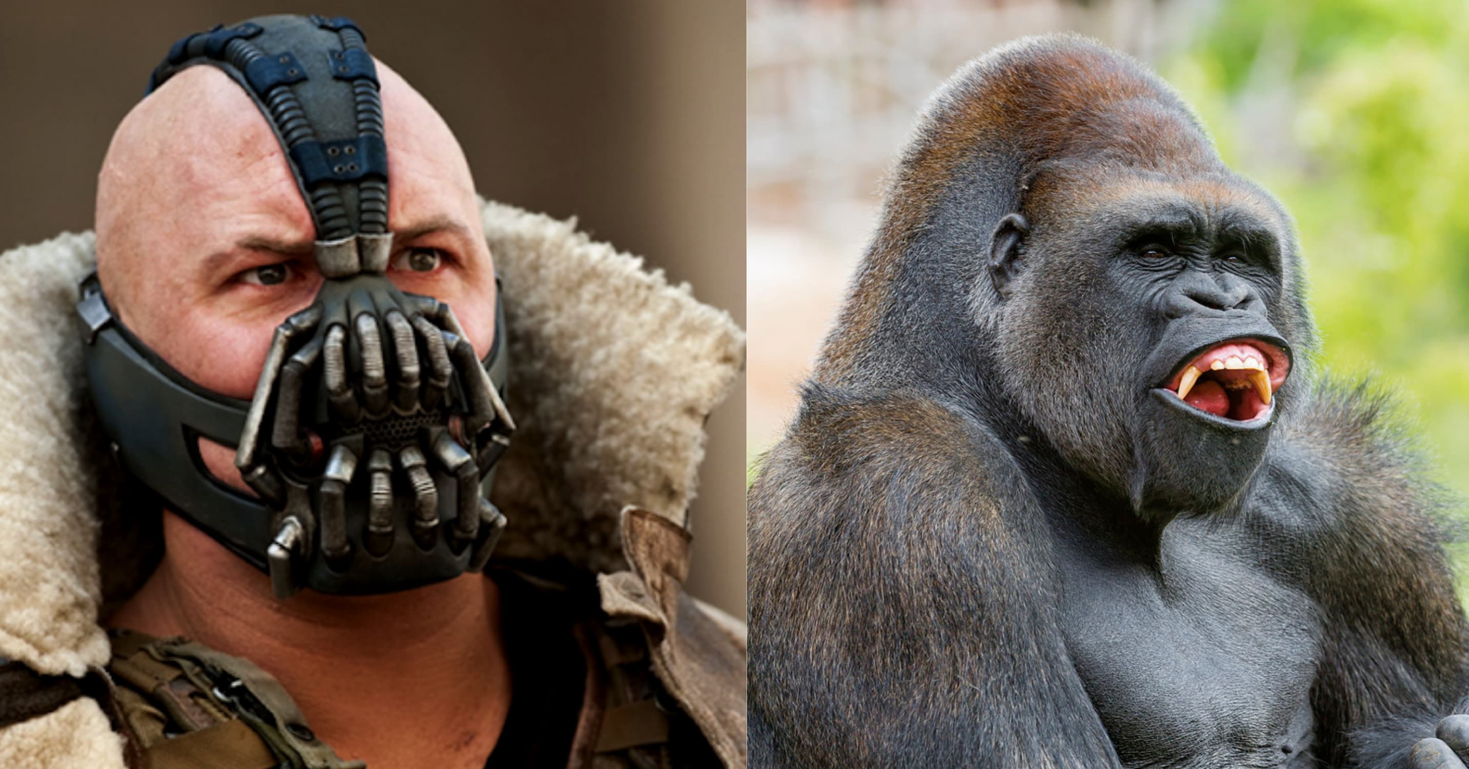 Prop and Wardrobe Secrets From 'The Dark Knight Trilogy'