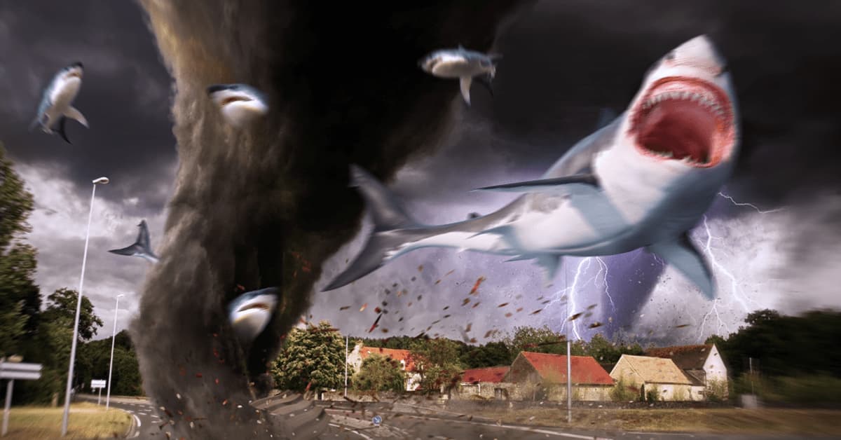 The 15 Worst Shark Movies of All Time, Ranked By Viewers