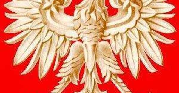 Best Polish Boxers | List of Famous Boxers from Poland