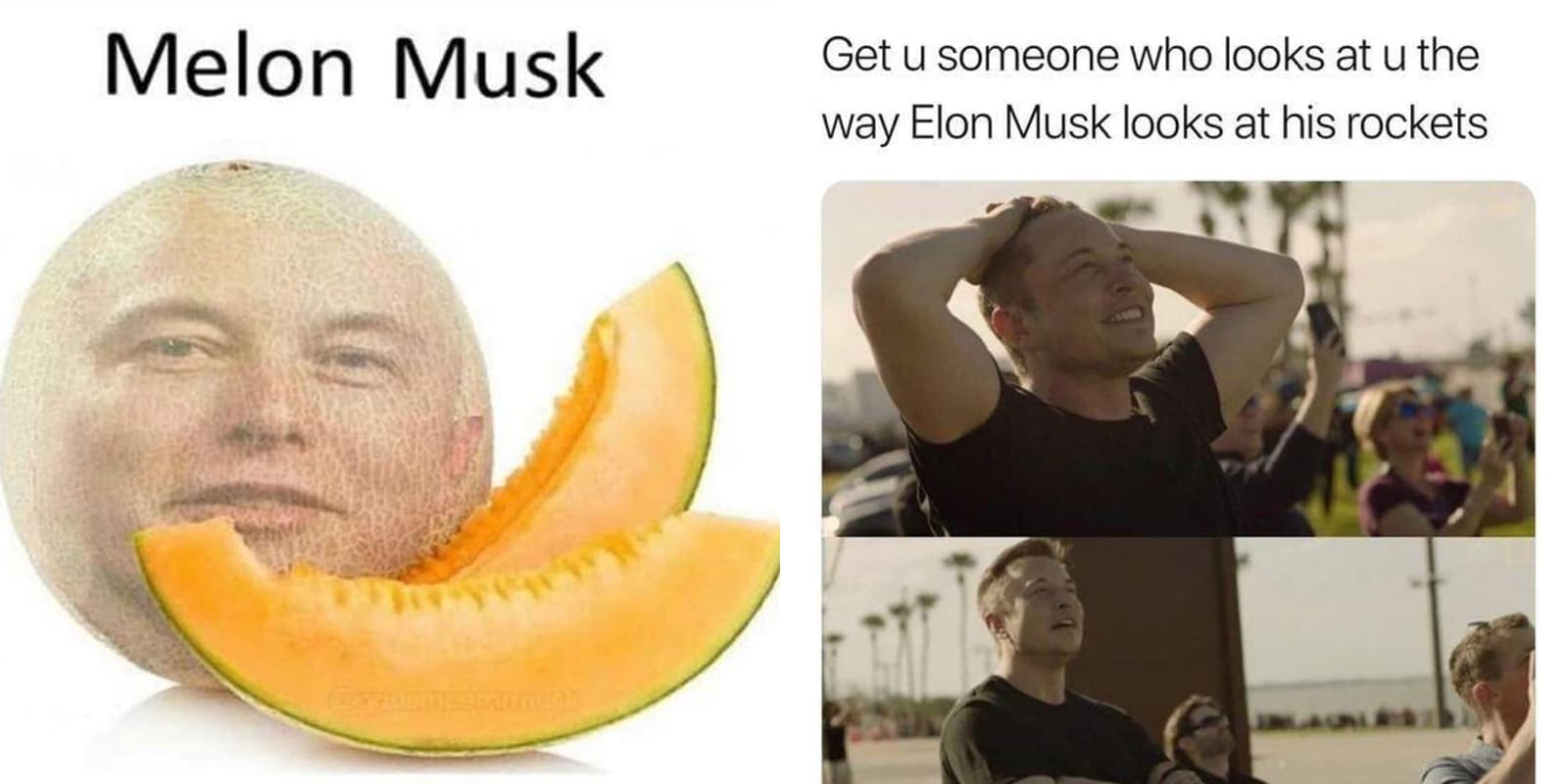 The 25 Funniest Elon Musk Memes, Ranked
