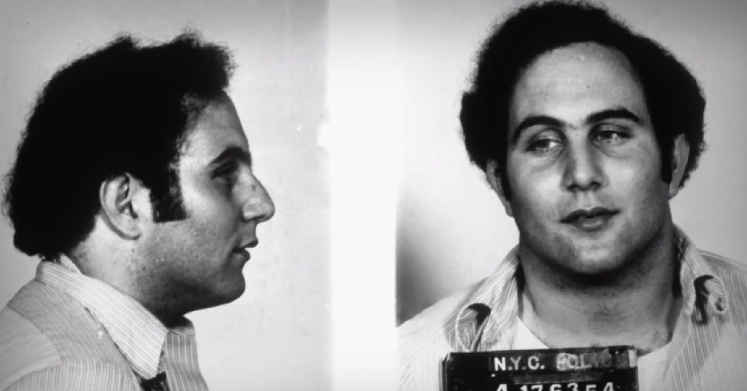 The 60 Best Serial Killer TV Shows, Ranked