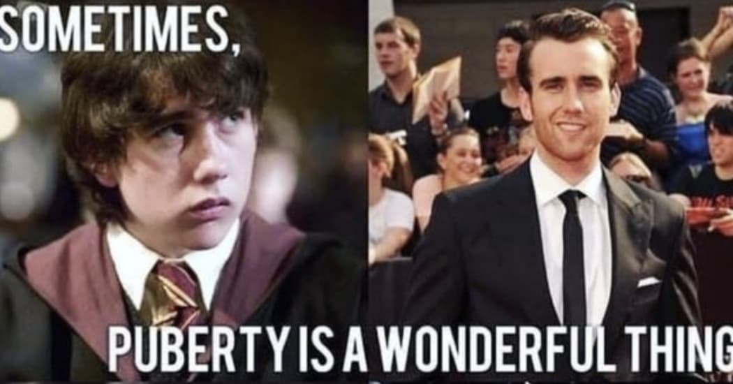 18 Neville Longbottom Memes That Prove He's Actually The Chosen One