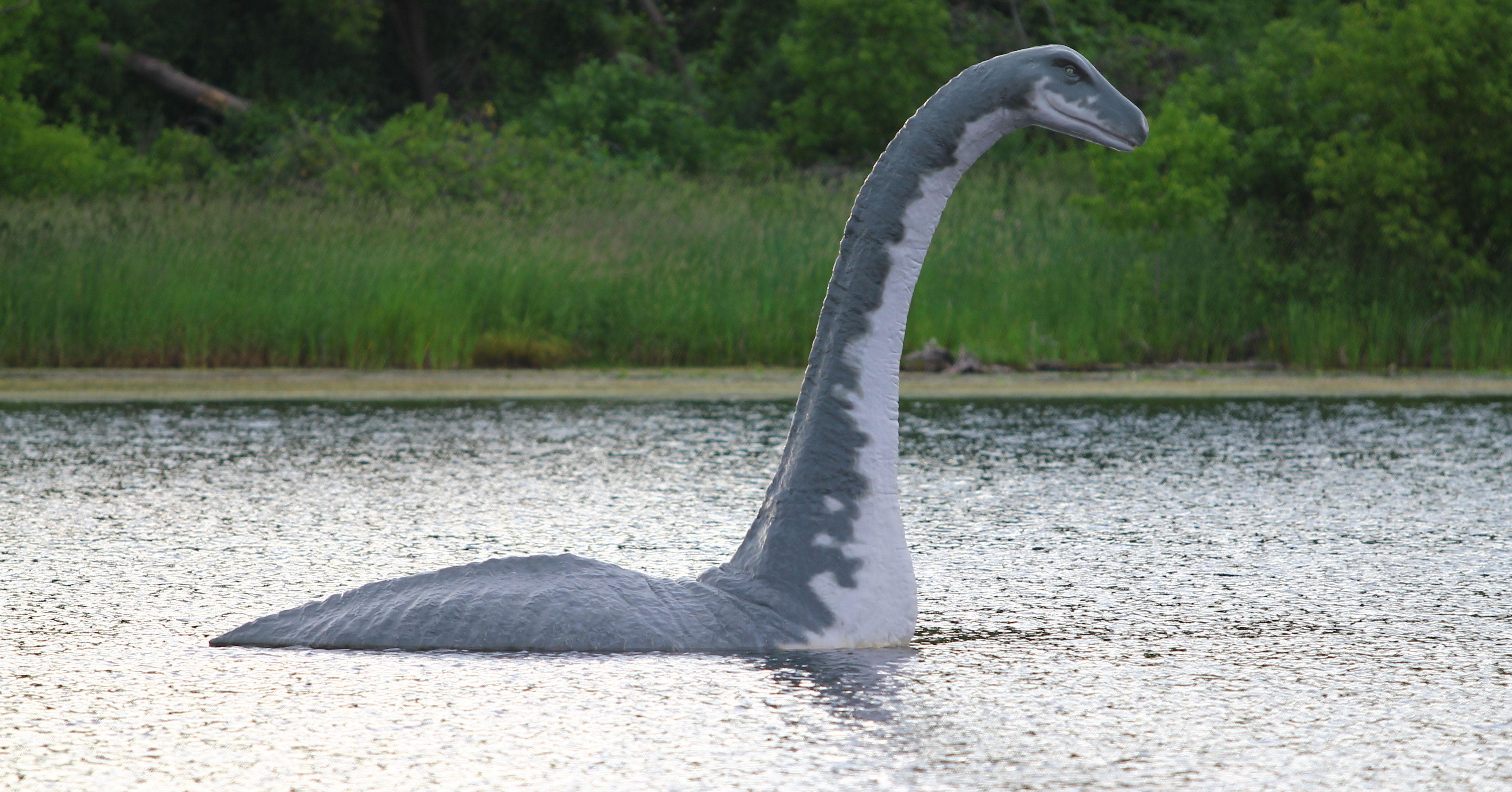 United States Lake Monsters That Will Make You Reconsider Your Summer ...