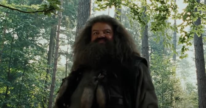 The 16 Best Hagrid Quotes, Ranked By Potterheads