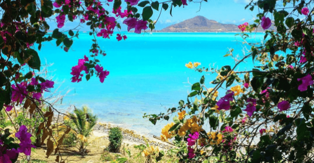 The 25 Best Beach Instagram Accounts to Follow