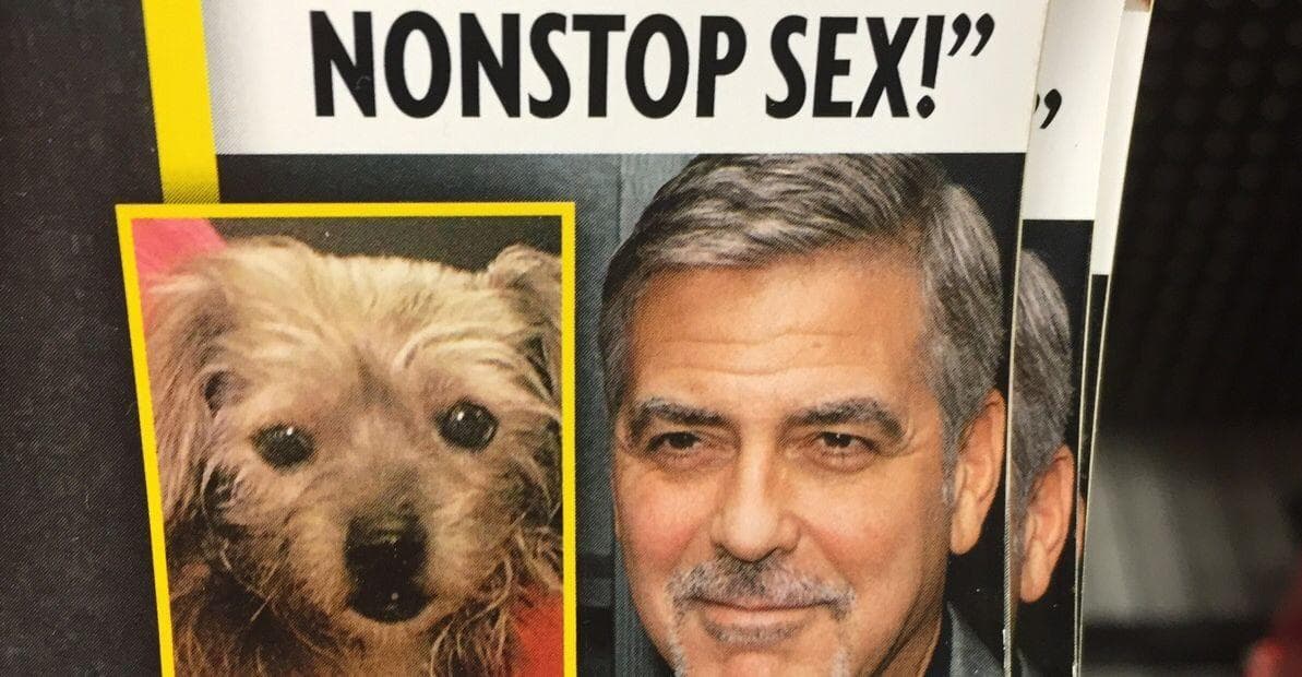 27 Newspaper Headlines That Were Accidentally Hilarious