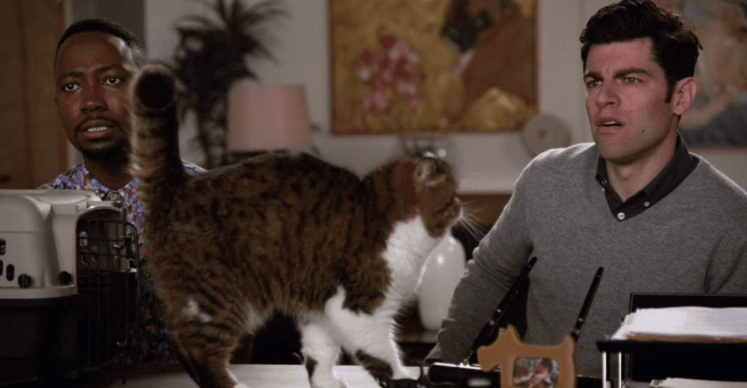 Winston and Ferguson Moments on New Girl That Capture Cat Lovers Perfectly