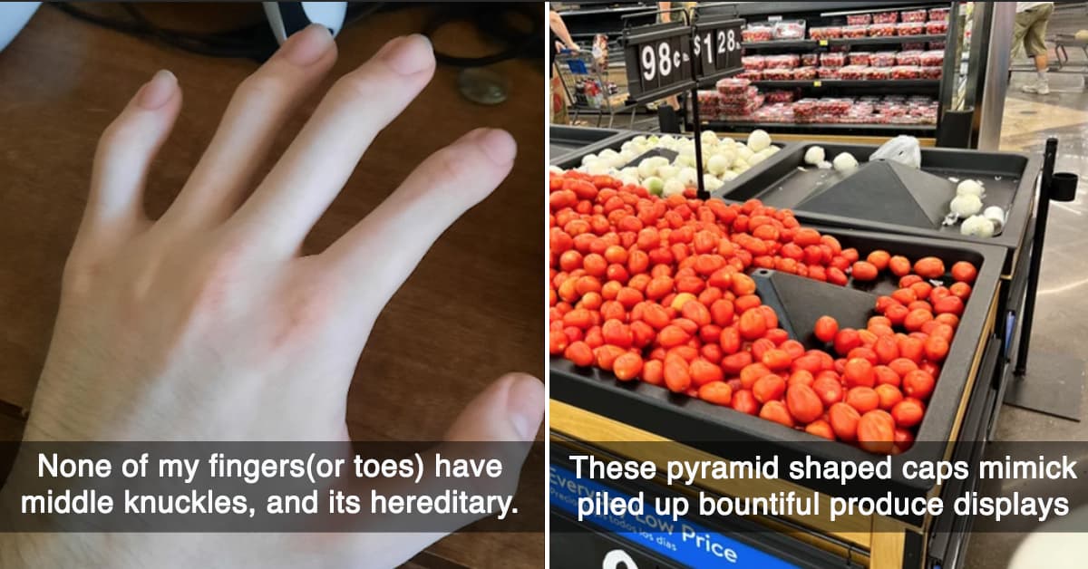 31 Pretty Interesting Photos That Only People Into Weird Stuff Will ...