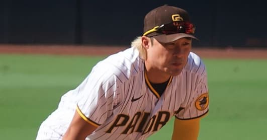 The 25+ Best Ha-Seong Kim Fantasy Names