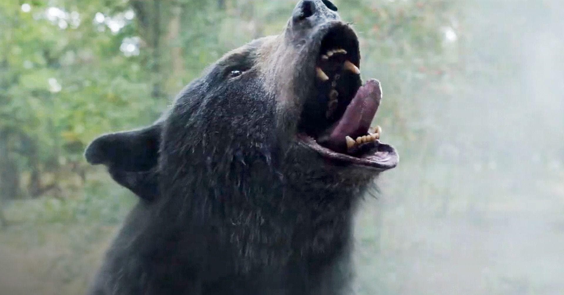 The 10 Best Killer Bear Horror Movies Of All Time