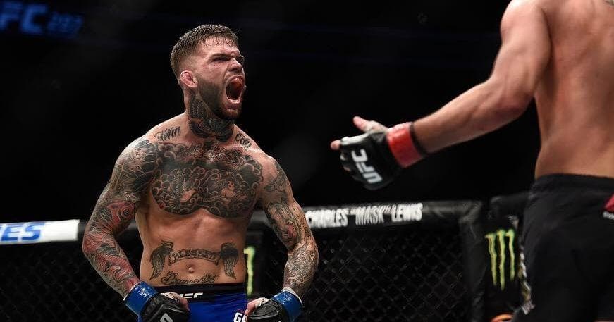 Best Current MMA Bantamweights | Top Bantamweight Fighters