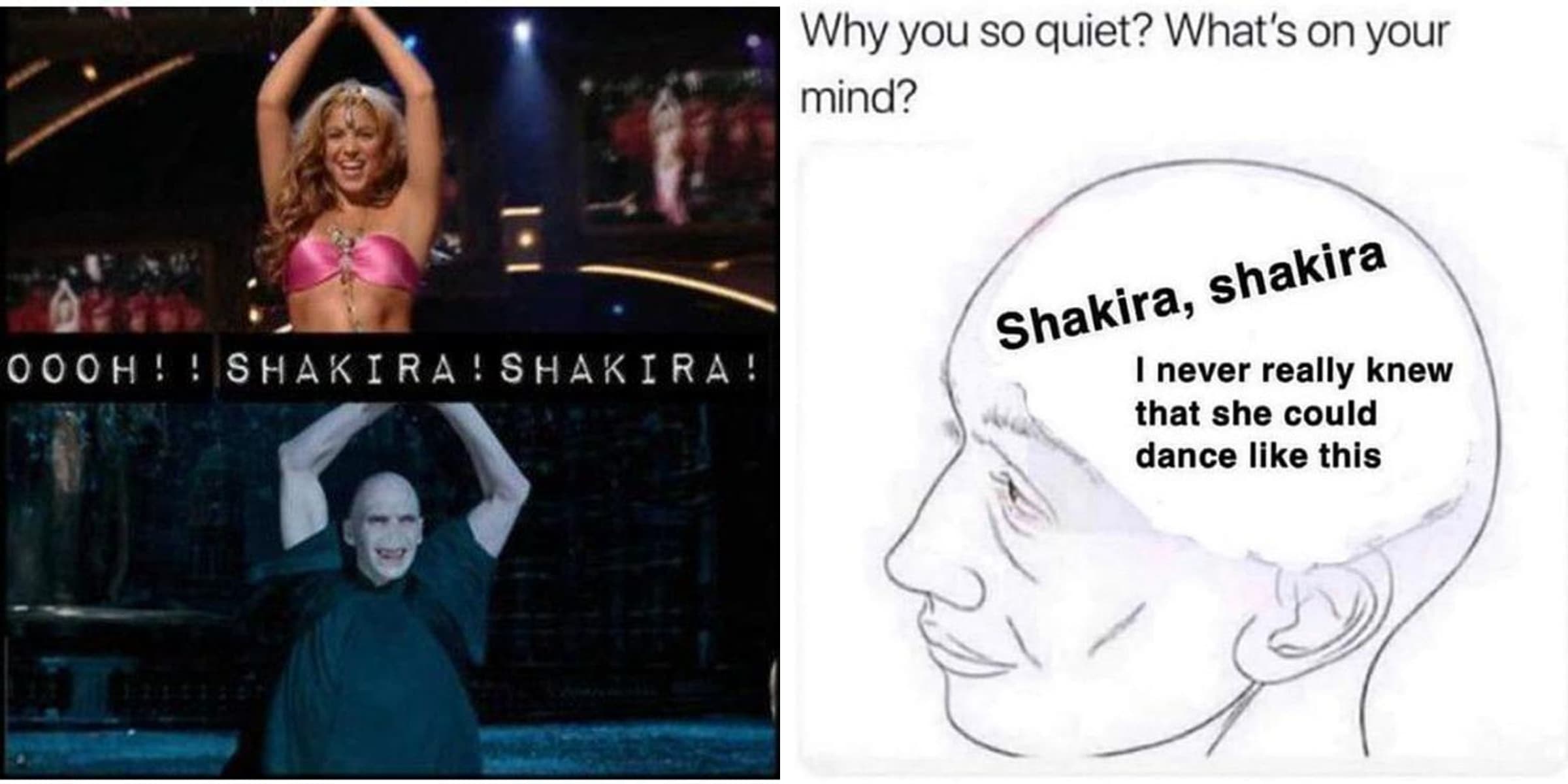 The 22 Funniest Shakira Memes, Ranked