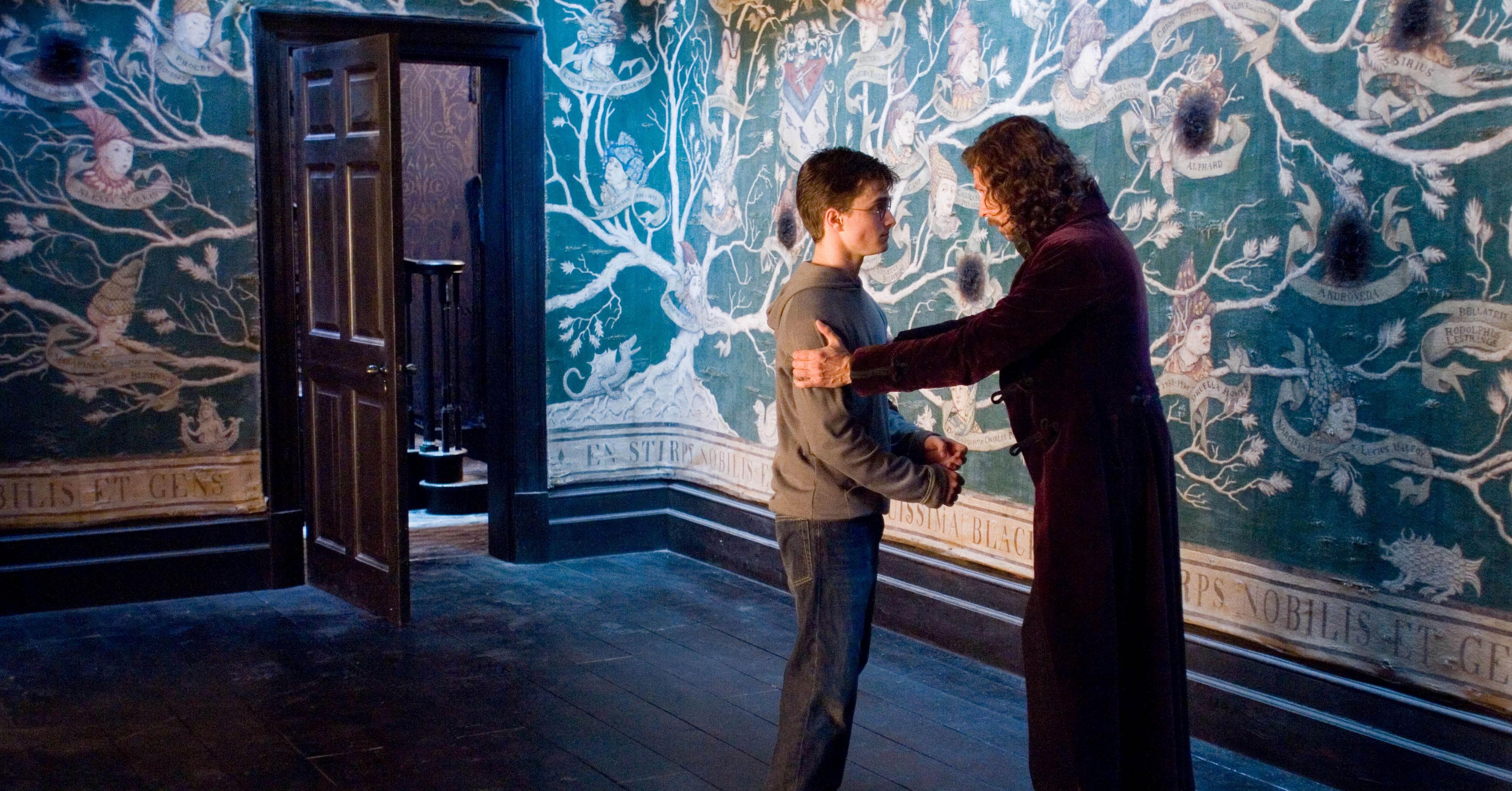 what if regulus black was in gryffindor