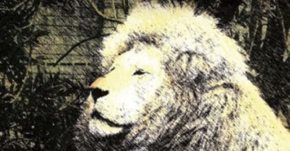 10 Best Books By O.K. Matsepe, Ranked