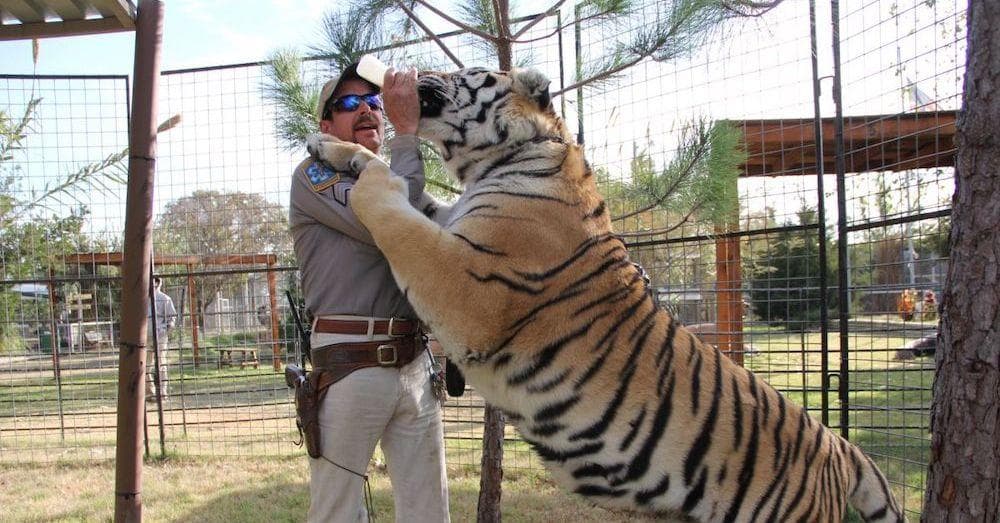 Shocking Things About Joe Exotic Left Out Of 'Tiger King'