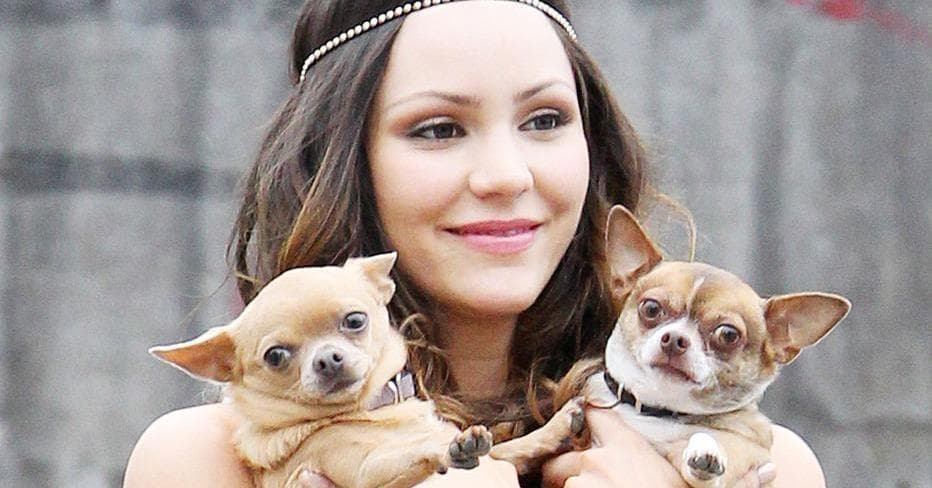 Celebrities With Chihuahuas | List of Famous People Who Own Chihuahuas