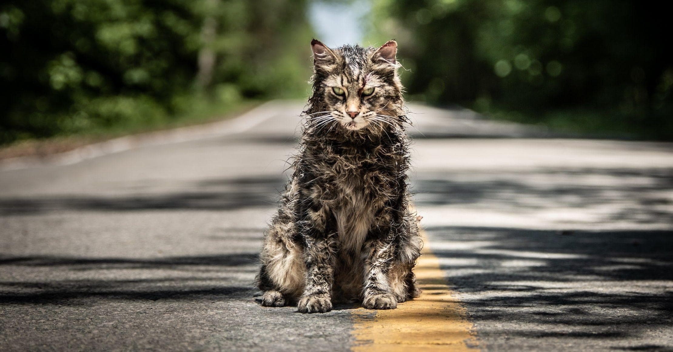 Animal Deaths In Horror Movies That Break Our Hearts Every Time