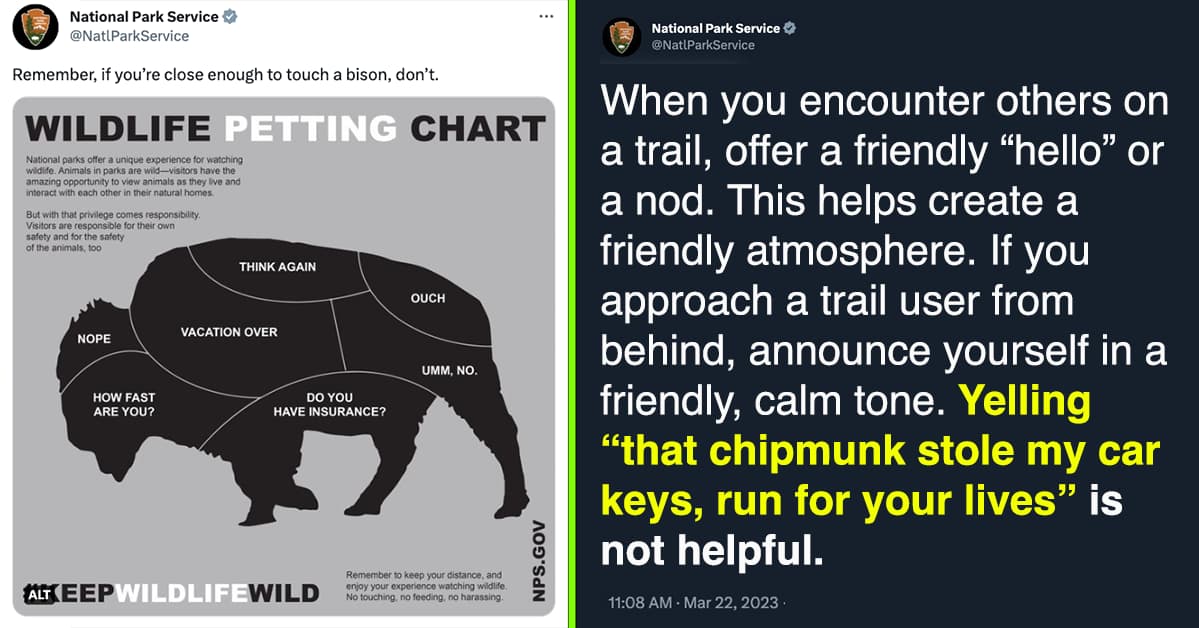 Nps Memes 40 Funniest Tweets From The National Park Service This Year