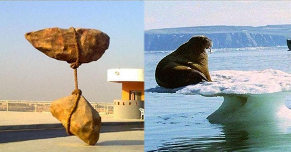 24 Photos That Defy the Laws of Physics