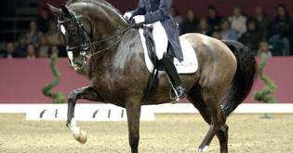 Famous Equestrians | List of the Top Well-Known Equestrians
