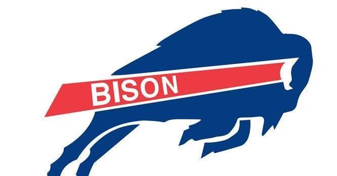 Bison Mascot Schools | List of Schools with Bison as their Mascot