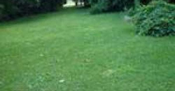 Famous Coal Miners | List of the Top Well-Known Coal Miners