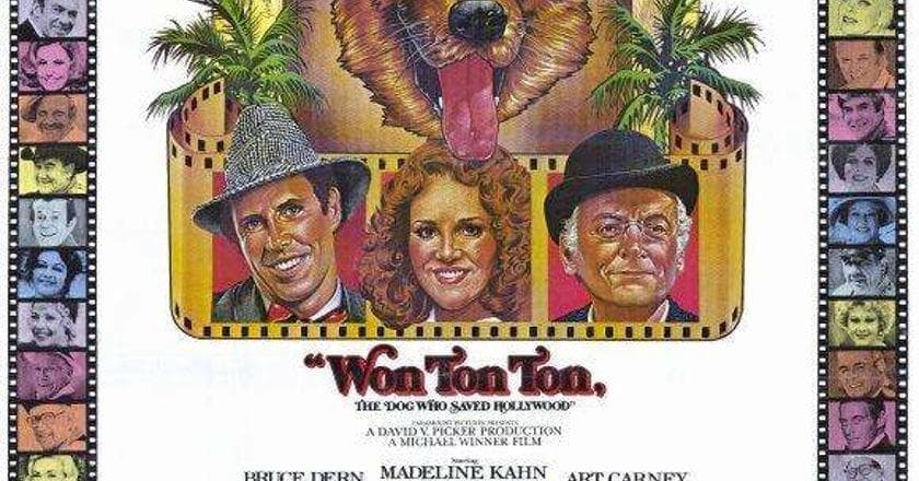 The 40+ Best Rory Calhoun Movies & Westerns, Ranked By Fans