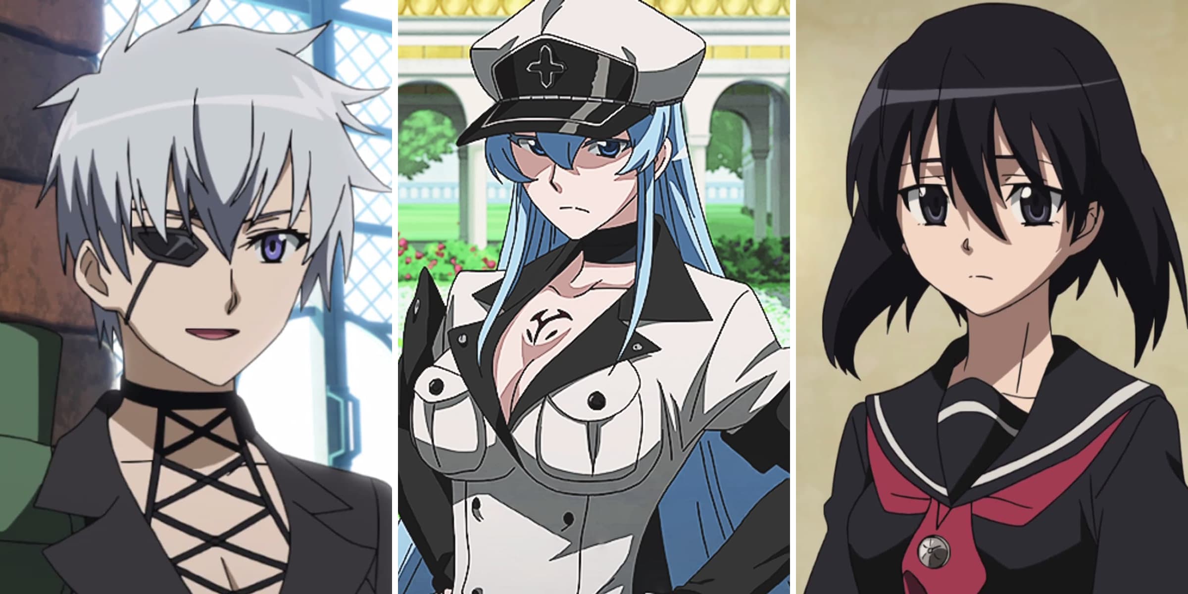The 14 Best Female Characters From ‘Akame Ga Kill!,’ Ranked By Fans
