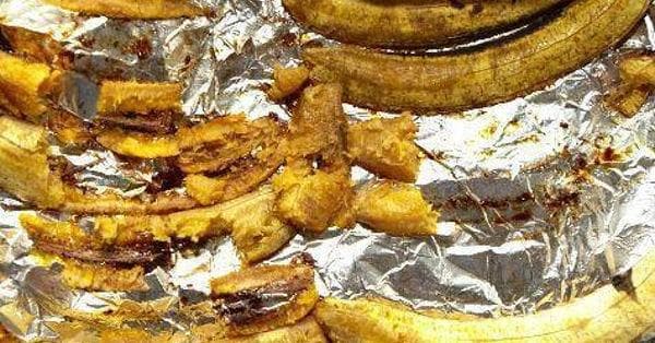 Congo Cast List: Actors and Actresses from Congo